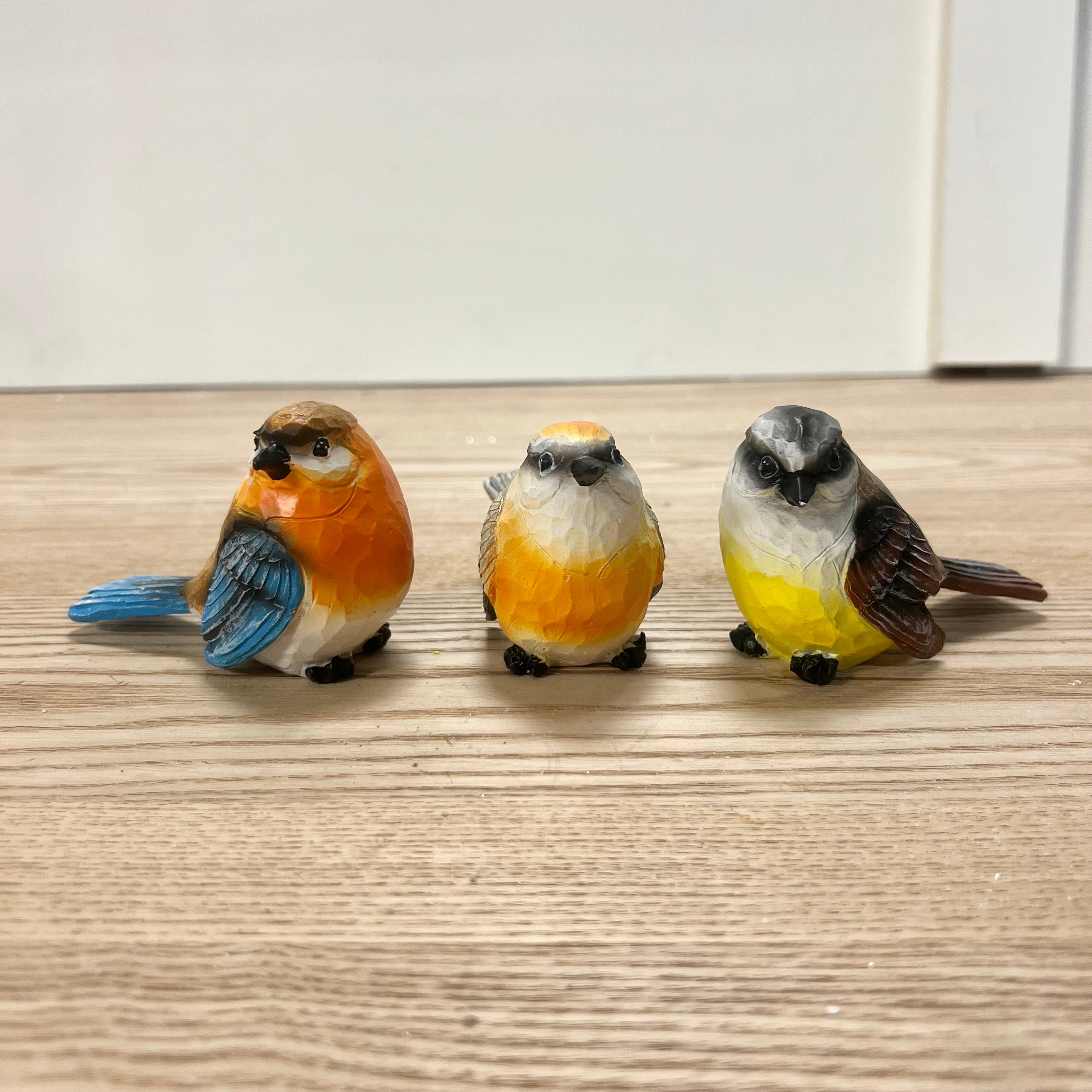 Small Colorful Birds – Prairie in Bloom