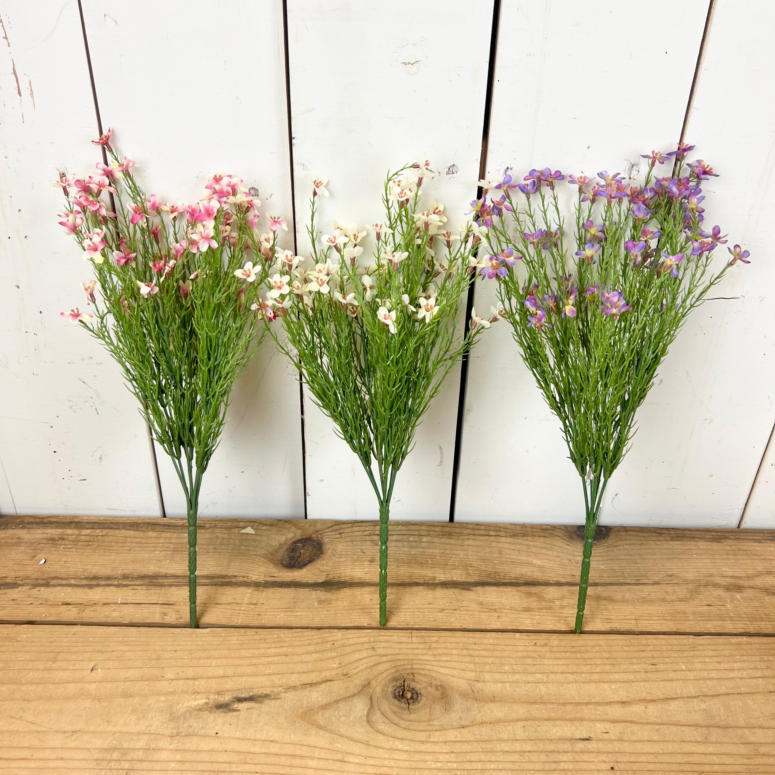 Wax Flower Stems – Prairie in Bloom