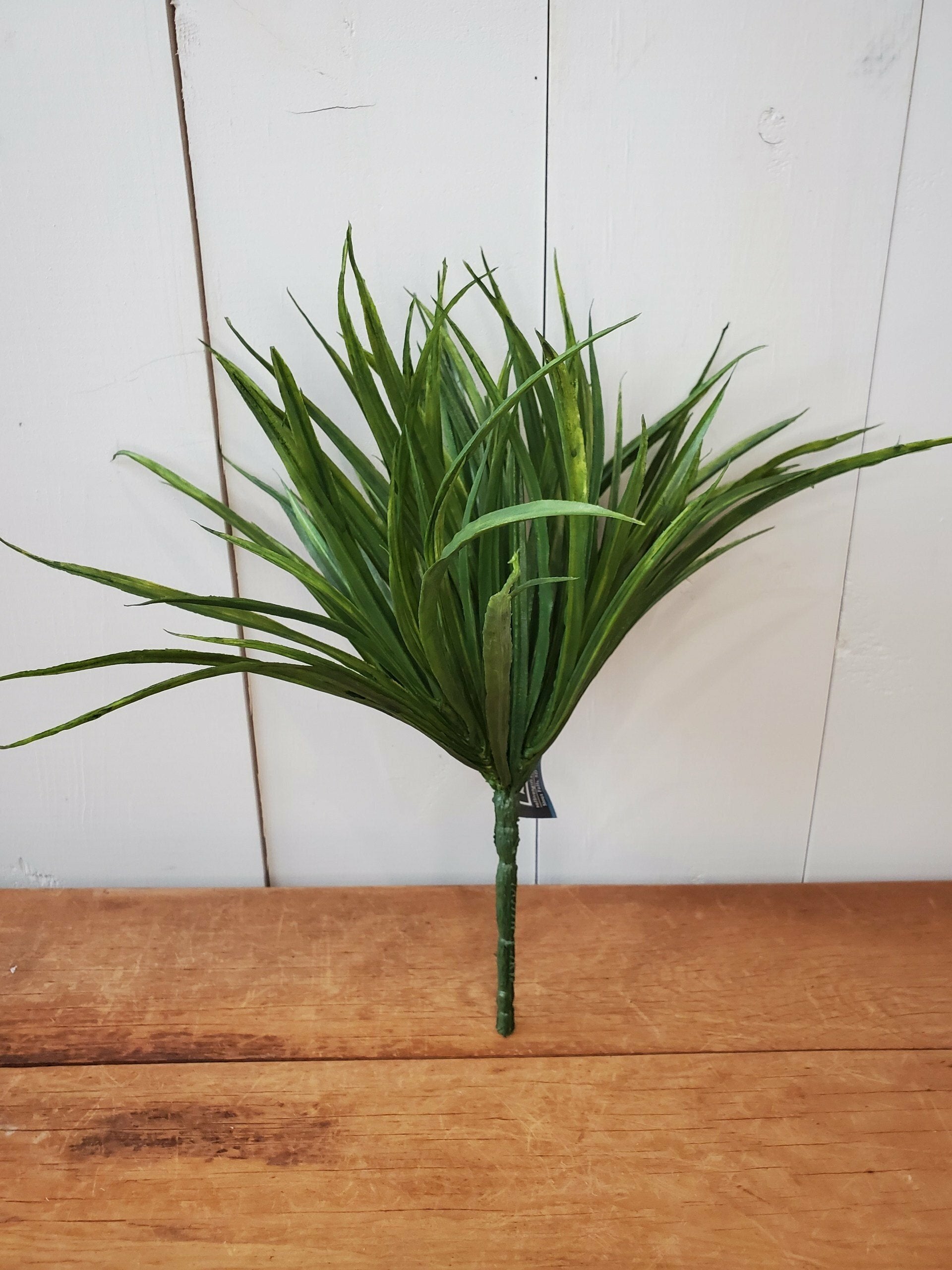 Sword Grass – Prairie in Bloom